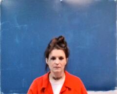 Inmate Roster - Page 3 Current Inmates Booking Date Descending ...